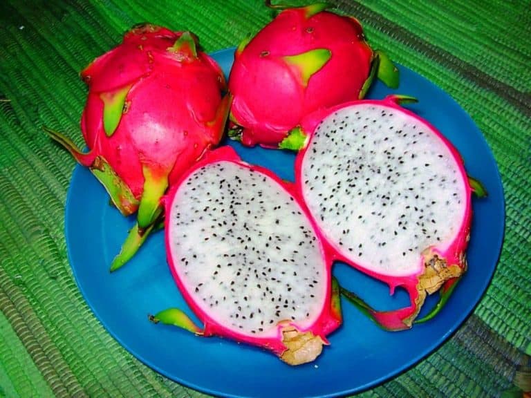 Fruit Feature: Pitahaya, Costa Rica's Exotic Natural Treat