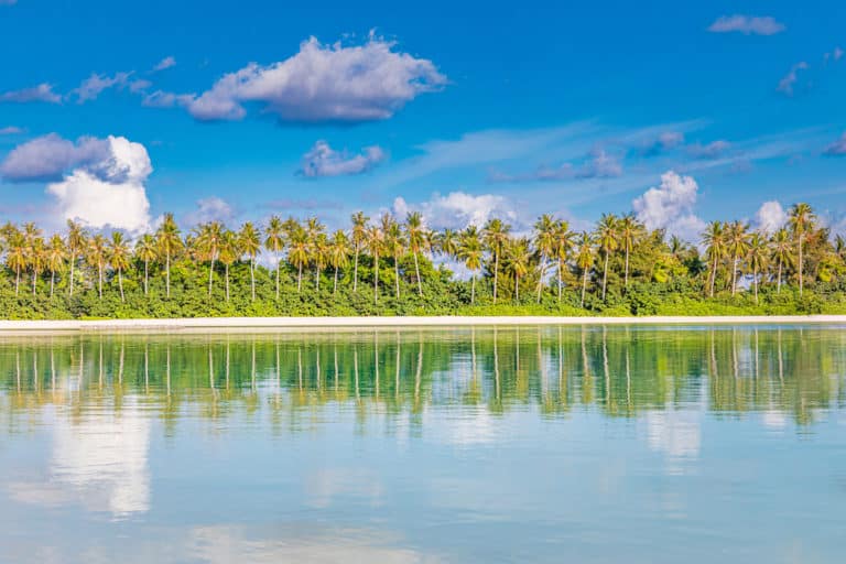 Playa Grande Hotel RipJack Inn - Surf Hotel - RipJack Inn